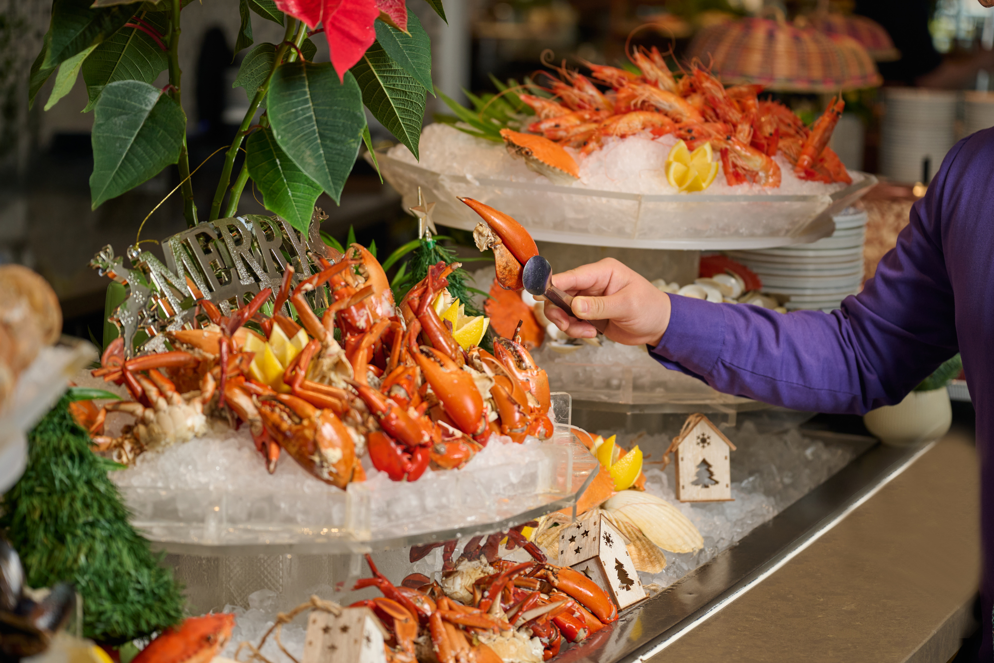 Festive Buffet at Asian Market Café - ALL Accor+ Explorer